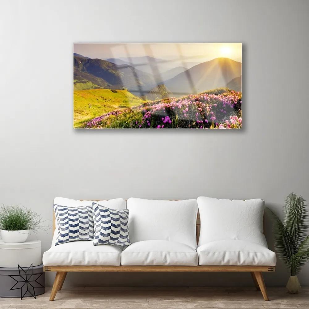 Obraz na skle Hora Louka Krajina 100x50 cm