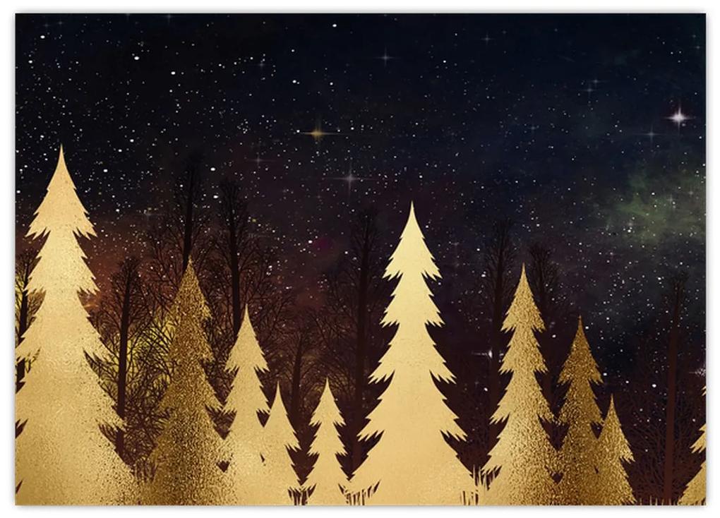 Skleněný obraz - Zlatá noc (70x50 cm)
