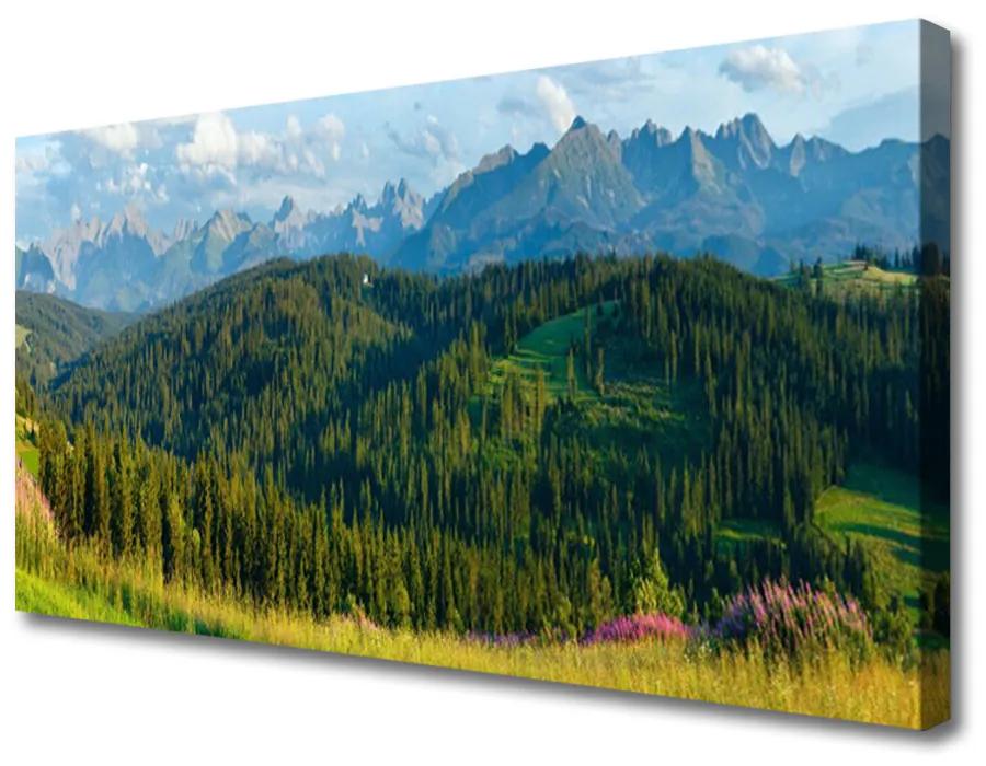 Obraz na plátně Hora Les Příroda 140x70 cm