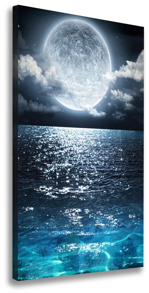 Wallmuralia Vertikální Foto obraz na plátně Měsíc v úplňku 50x100