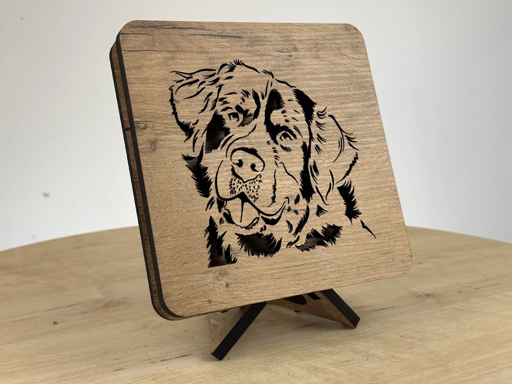 Li-Go "Bernardýn, Salašnický pes" lampa 19x19cm provedení povrchu: jedle