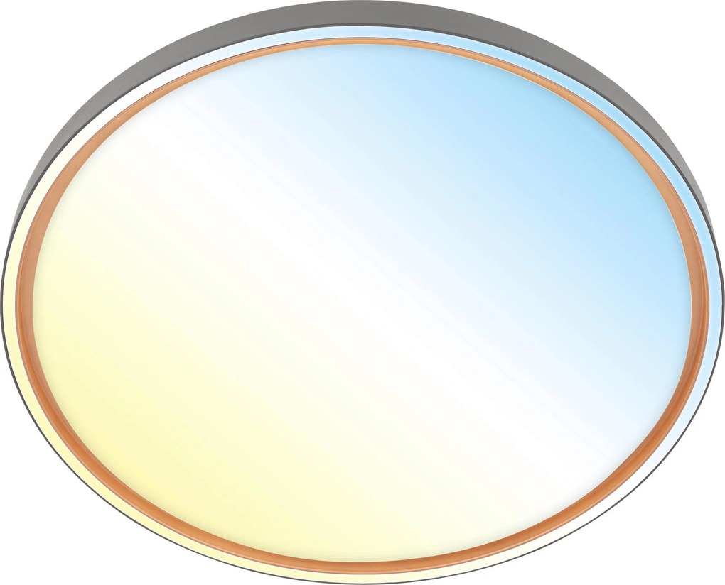 XXXLutz STROPNÍ LED SVÍTIDLO, 49.5/6,5 cm - Stropní svítidla - 004474017202