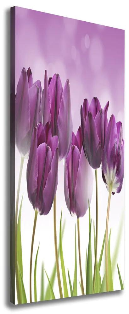 Wallmuralia Foto obraz na plátně Fialové tulipány 50x125 cm