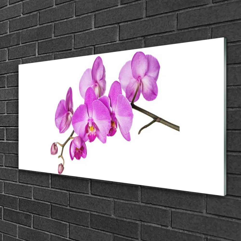 Obraz na skle Vstavač Orchidej Květiny 100x50 cm