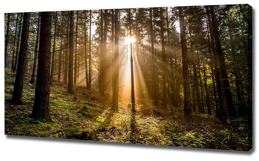 Wallmuralia Foto obraz na plátně Sluneční světlo 120x60 cm