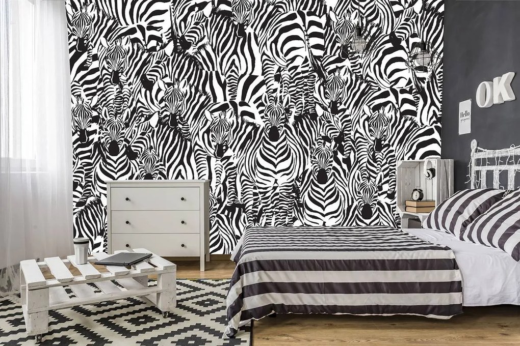 Fototapeta - Zebra (152,5x104 cm)