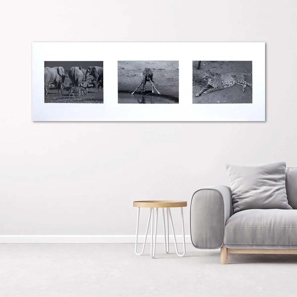 Obraz na plátně Afrika Zvířata Černá Bílá - 90x30 cm