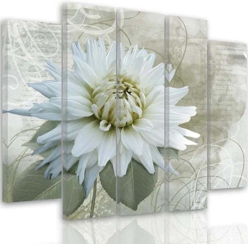 CARO Obraz na plátně - White Flower 150x100 cm