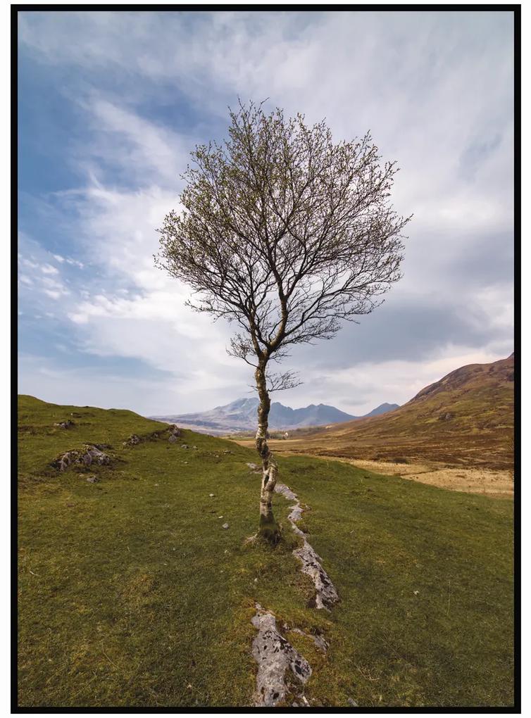 Plakát Strom v krajině A4 (21 x 29,7 cm)