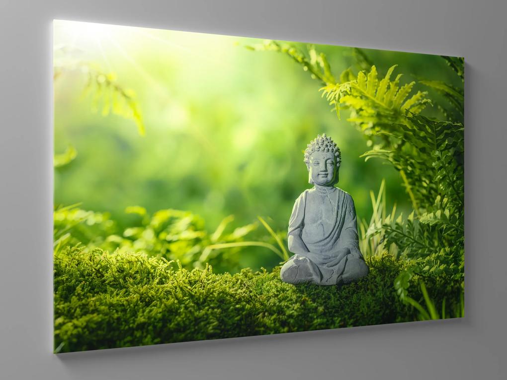 Liox Obraz socha Buddhy v přírodě Rozměr: 60 x 40 cm