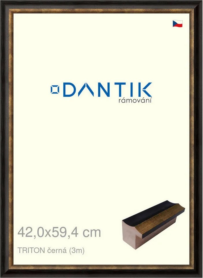 DANTIK rámeček 42x59,4 | TRITON černá (Plexi Čiré)