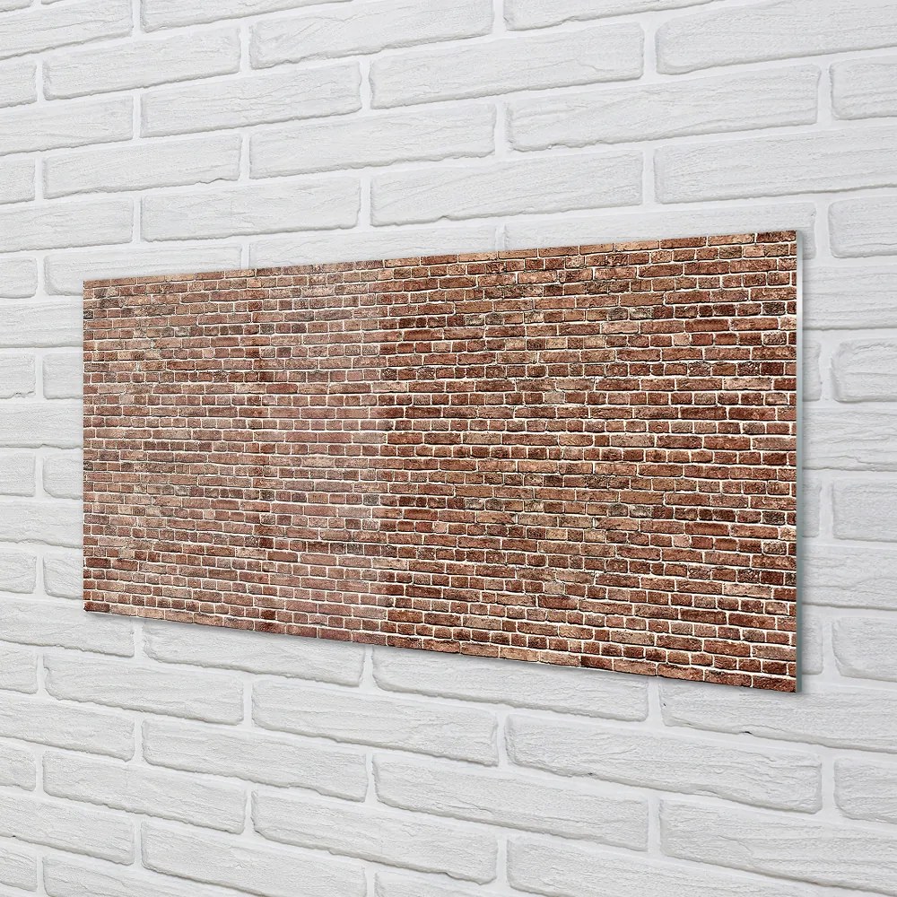 akrylový obraz Cihlové zdi wall 100x50 cm