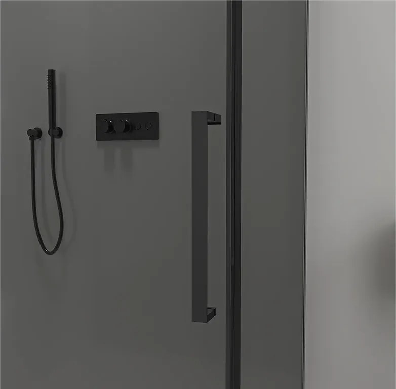 CERANO - Sprchové posuvné dveře Lantono L/P - 8 mm - Soft-Close - černá matná, grafitové sklo - 100x195, CER-8050BD7235