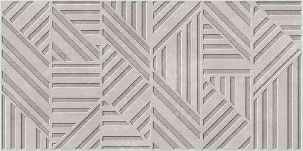 EBS Wonder - Dekor 60x120 cm, matná gris DRWOND60120GR