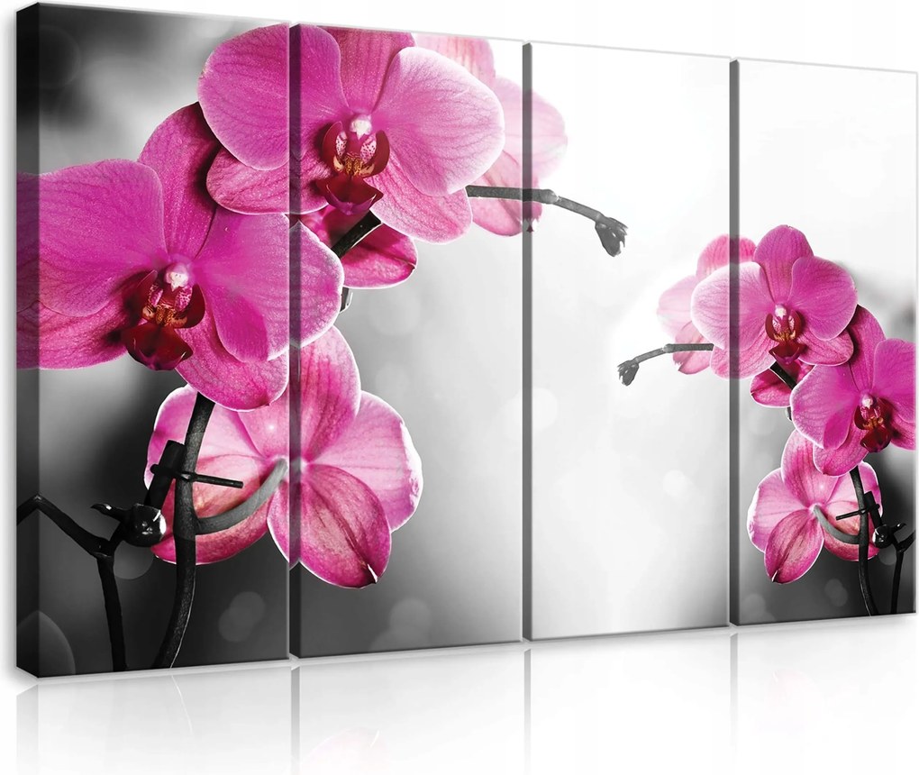 Obraz 120x80 Orchideje růžové květiny dekorace stěn moderní umění