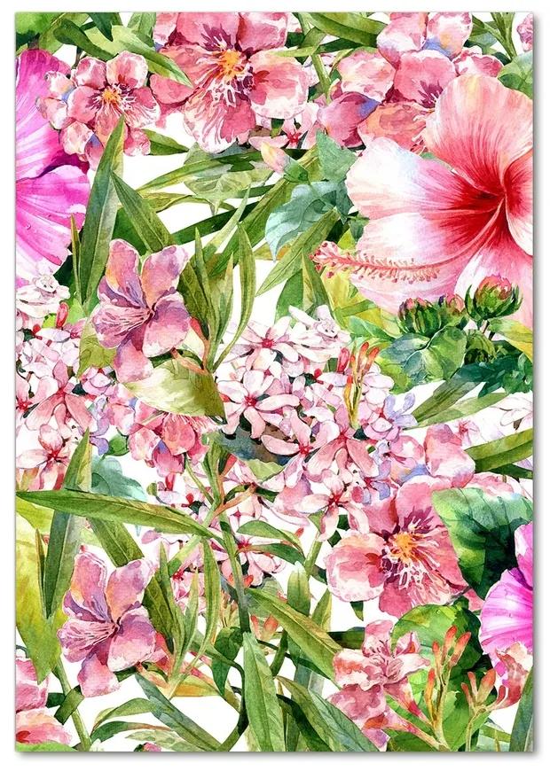 Wallmuralia Foto obraz akrylový Tropické květiny 70x100 cm
