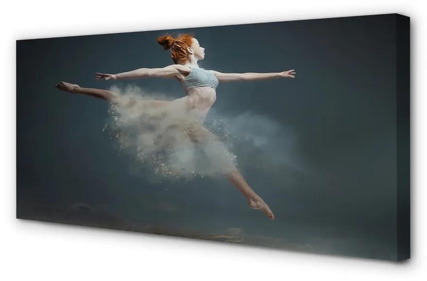 Obrazy na plátně balerína kouř 120x60 cm