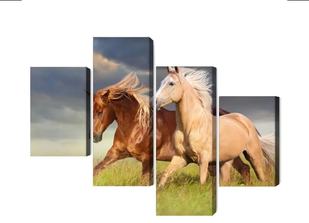 Vícedílný obraz Koně Cválající Na 3D Louce Nedostatek Nedostatek Plátno Canvas 80x50