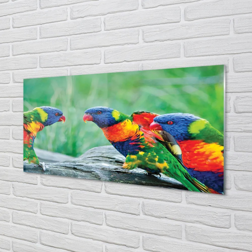 akrylový obraz Barevný papoušek stromu 140x70 cm