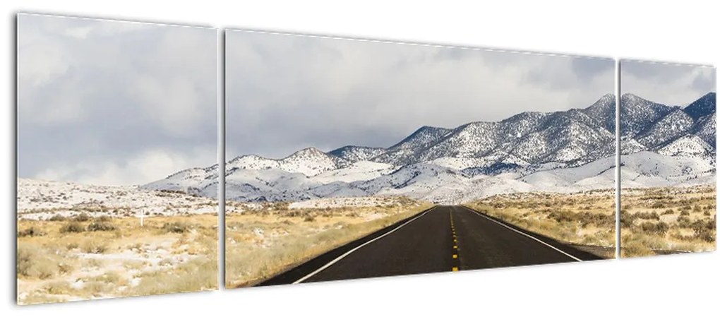 Obraz - Great Basin, Nevada, USA (170x50 cm)