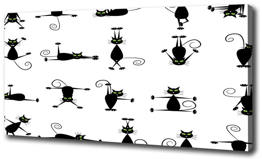 Wallmuralia Moderní obraz canvas na rámu Kočky ilustrace 100x50 cm