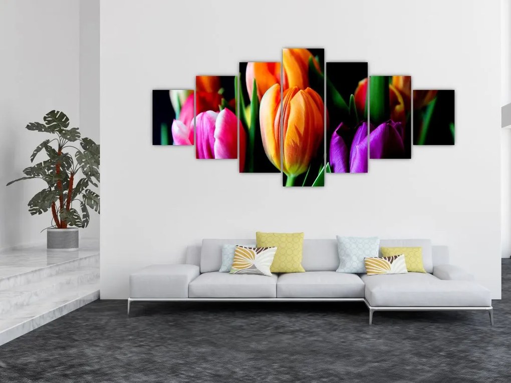 Obraz tulipánů na černém pozadí (210x100 cm)