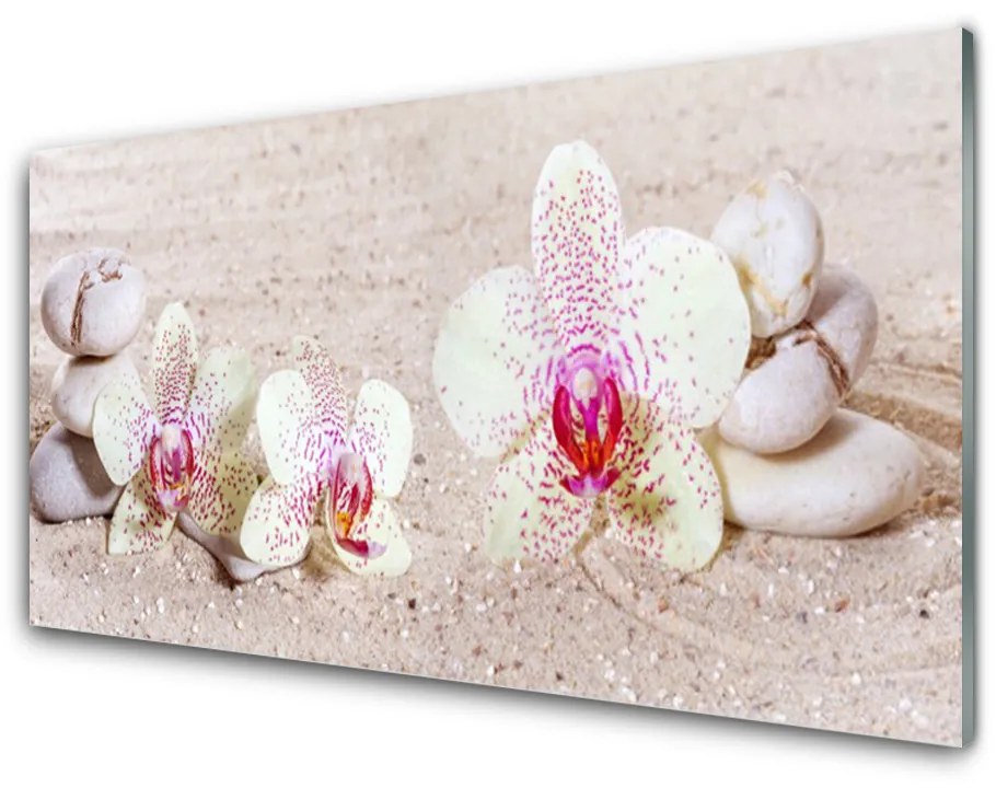 Plexisklo-obraz Orchidej Kameny Zen Písek 120x60 cm