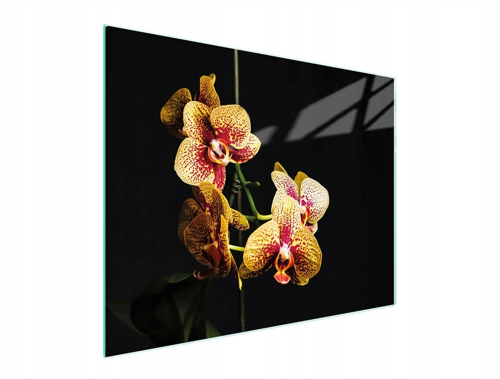 Skleněná Krájecí Deska 52x40 Orchidej Tvrzené Sklo