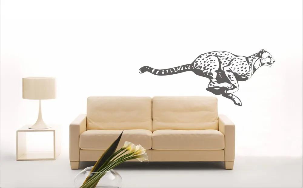 WALLVINIL Samolepky na zeď - Gepard Barva: Bílá, Velikost: 140x59 cm, Pravá / Levá: Levá (dekorace směřuje/dívá se doleva)