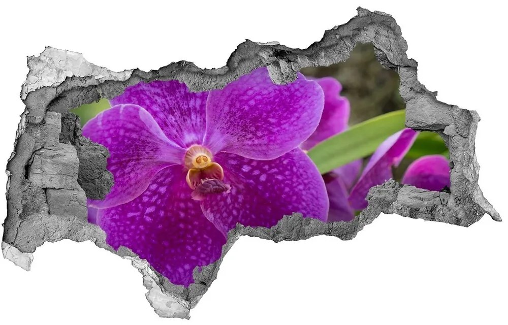 Wallmuralia Samolepící díra nálepka Orchidej 95x73 cm