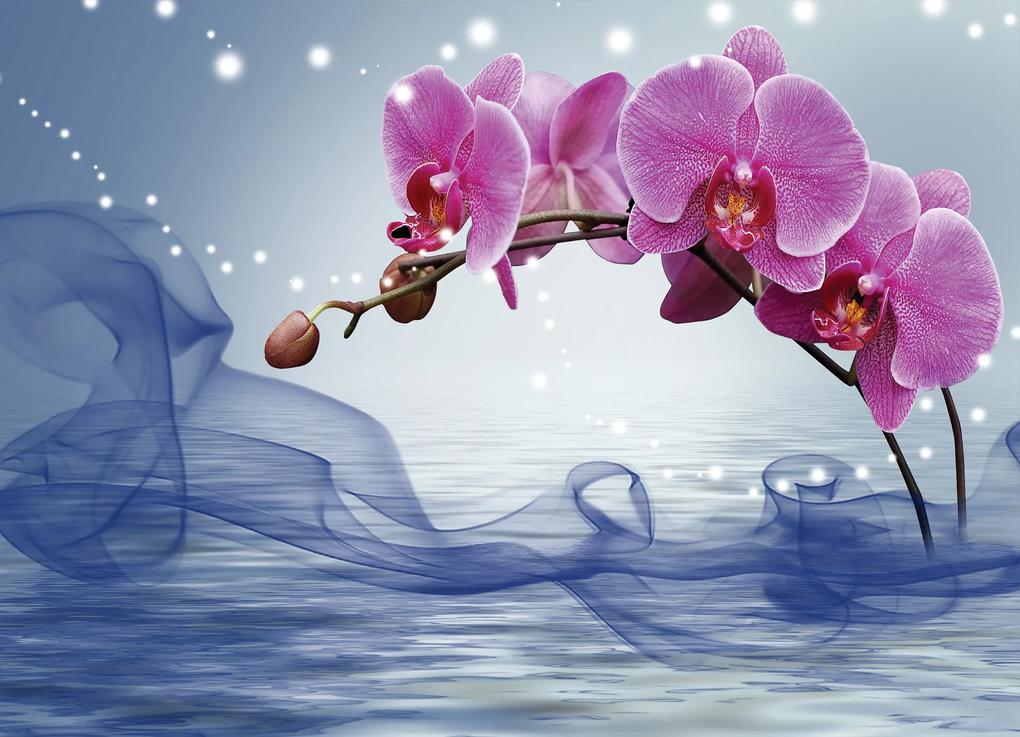 Malvis ® Tapeta Orchidej na vodě Vel. (šířka x výška): 432 x 290 cm