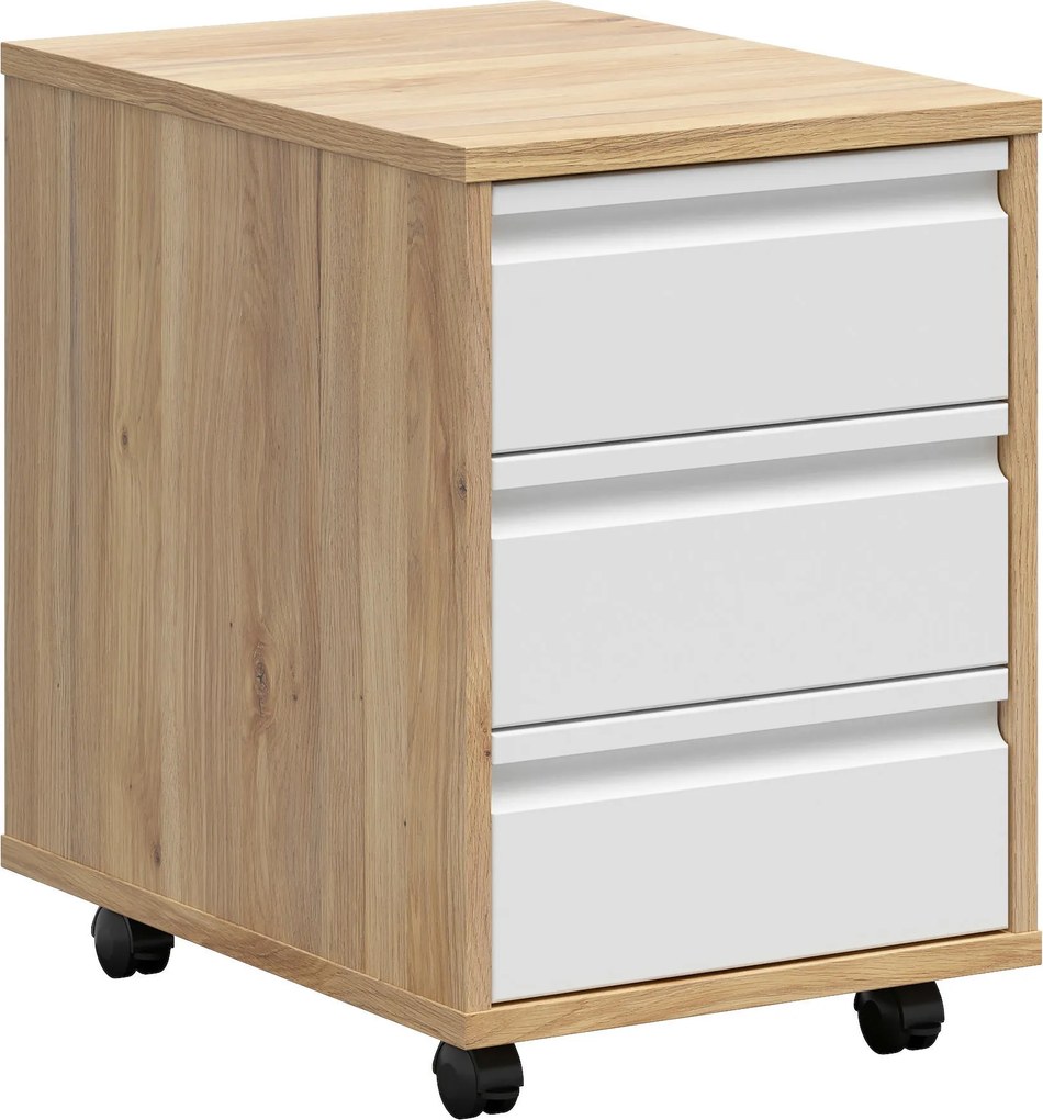 XXXLutz POJÍZDNÝ KONTEJNER, 43/66,5/56 cm Carryhome - 002427031602
