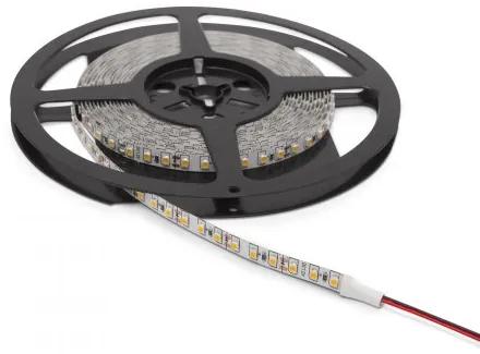PHENOM LED pásek 120 LED/m, 5m, 4200K studená bílá, IP20