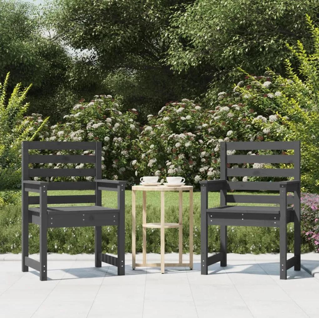 vidaXL Zahradní židle 2 ks 60 x 48 x 91 cm masivní dřevo douglasky [824058] Barva: Šedá borovice