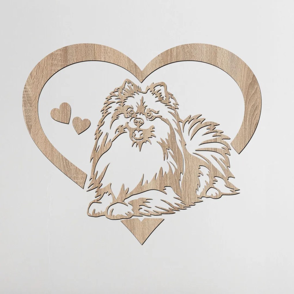 dřevo života Dřevěný obraz Německého špice v srdci Zvolte rozměr (cm): 60x51, Zvolte barvu dekoru: Javor
