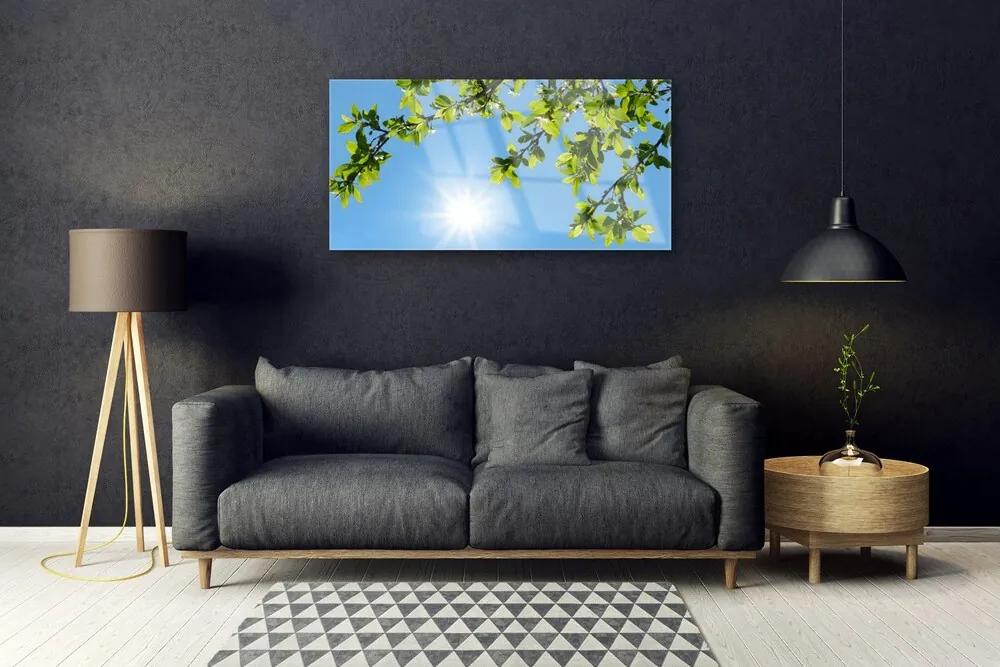 Obraz na skle Slunce Příroda 140x70 cm
