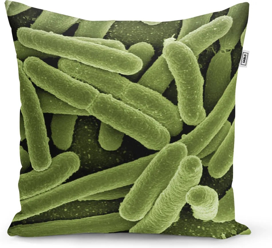 Polštářek - Bakterie 40x40 cm