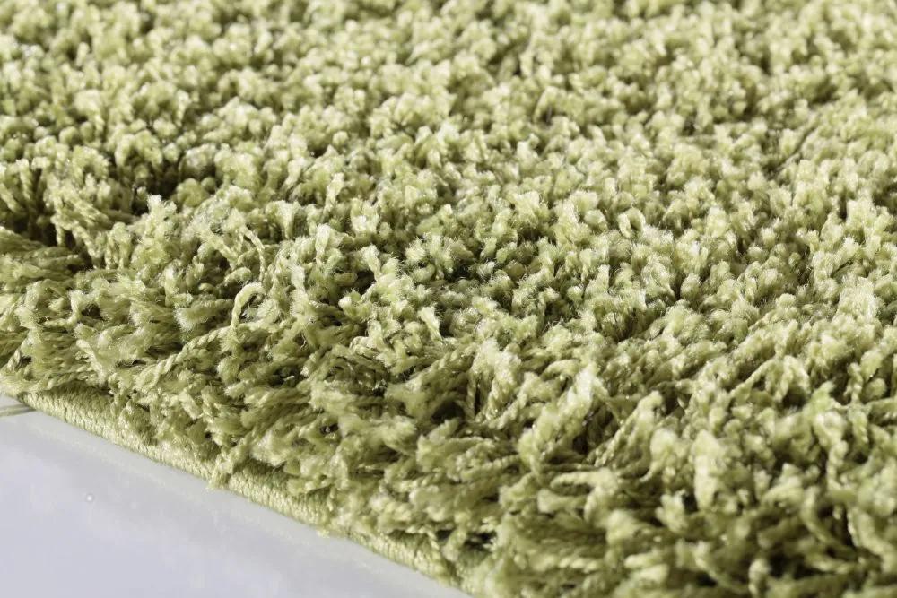 Vopi | Kusový koberec Dream Shaggy 4000 green - 200 x 290 cm-SLEVA