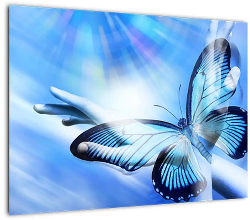 Skleněný obraz - Motýl, symbol naděje (70x50 cm)