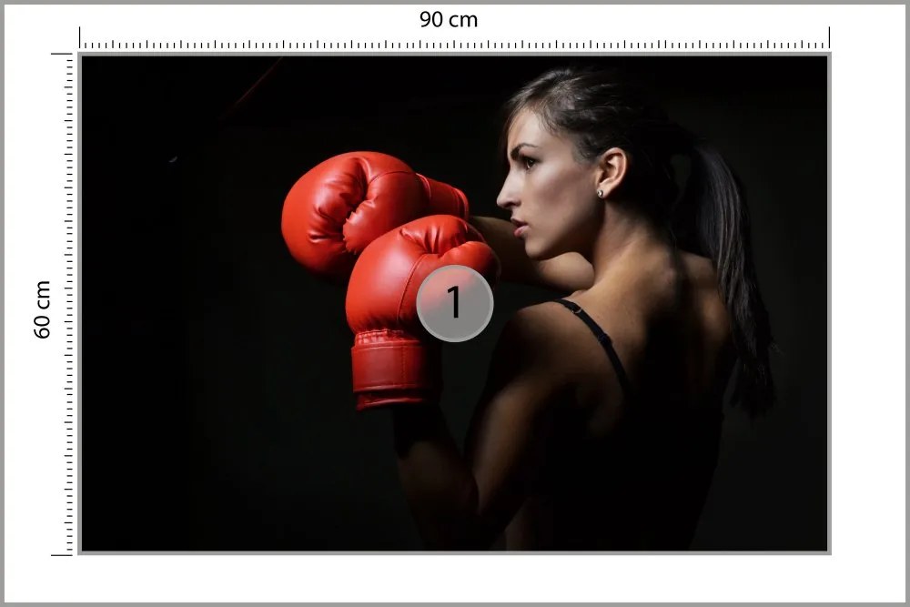 Fototapeta Krásný Boxer Omyvatelný vlies 104x70.5