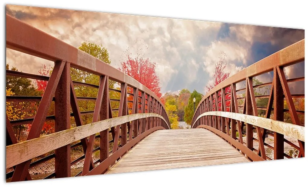Cesta přes most - obraz (100x40cm)