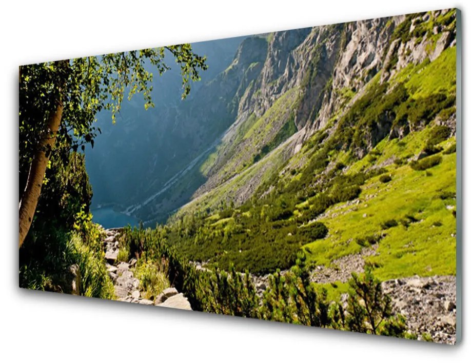 akrylový obraz Hora Les Příroda 140x70 cm