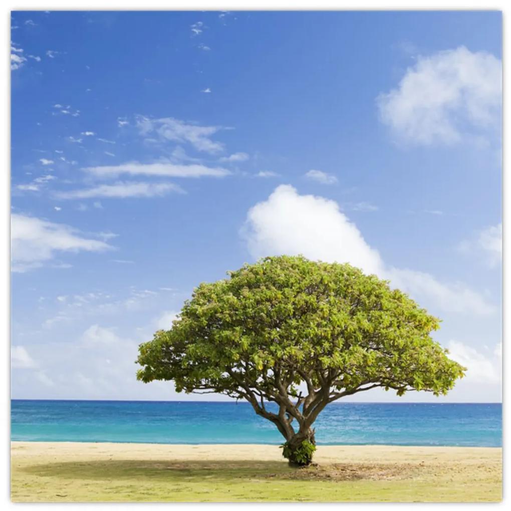 Obraz pláže se stromem (30x30 cm)