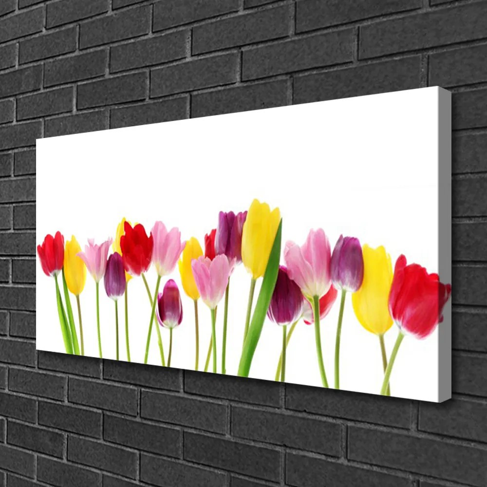 Obraz na plátně Tulipány Květiny Rostlina 125x50 cm