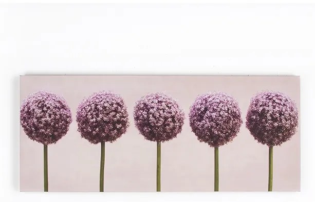 Obraz 40-234, Row of Alliums, Wall Art, Graham Brown