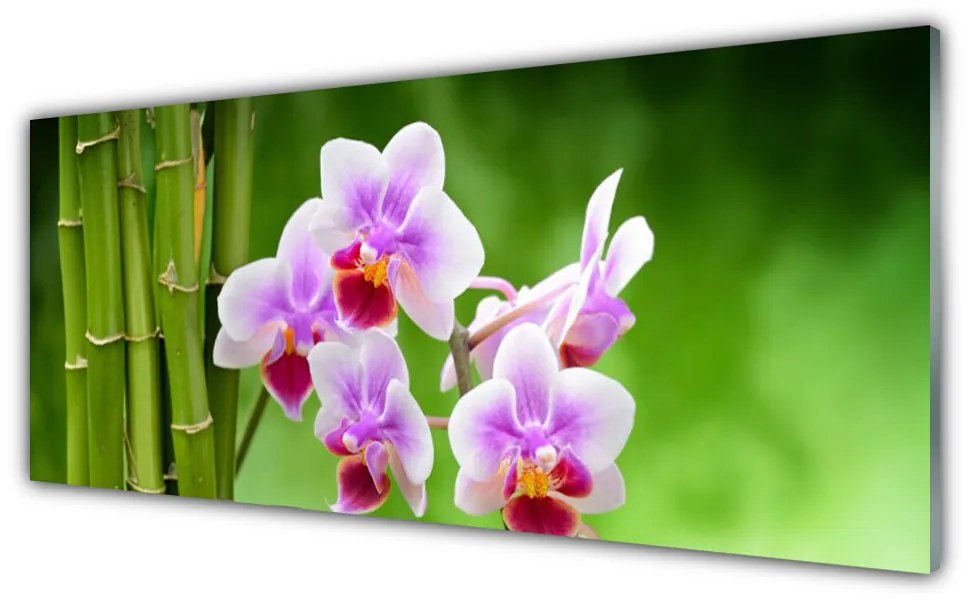 Plexisklo-obraz Bambus Orchidej Květiny Zen 125x50 cm