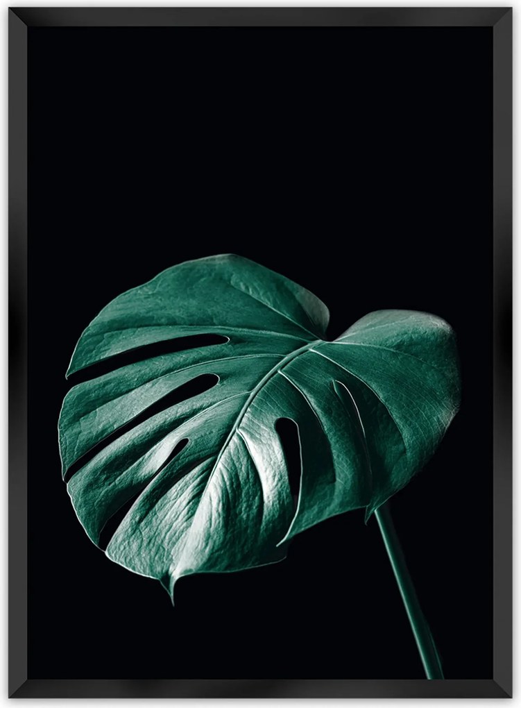 Plakát Dark Monstera