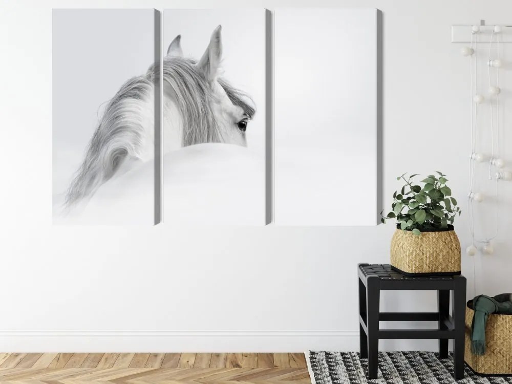 Vícedílný obraz Andaluský Kůň V Mlze Nedostatek Nedostatek Plátno Canvas 180x120