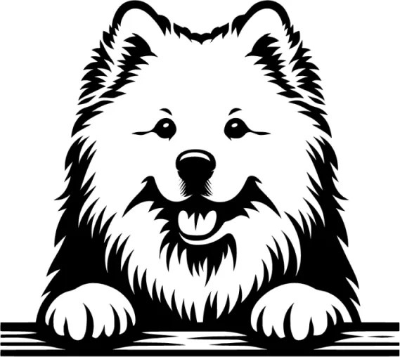 Samolepka pes Samojed