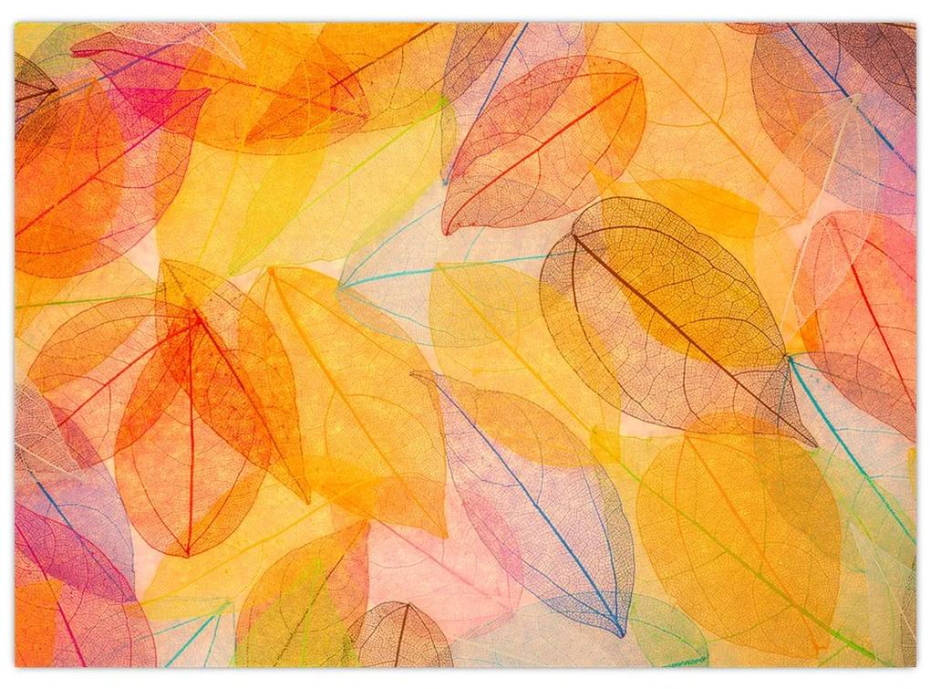 Obraz - Pozadí z podzimního listí (70x50 cm)